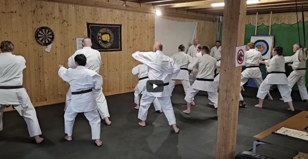 Festival Interclub de Suisse au Miramont - Seishin Ryu Jitsu - Miramont